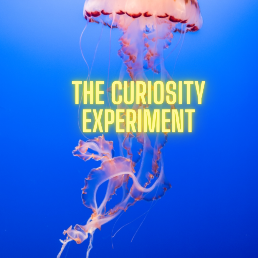 Home - The Curiosity Experiment