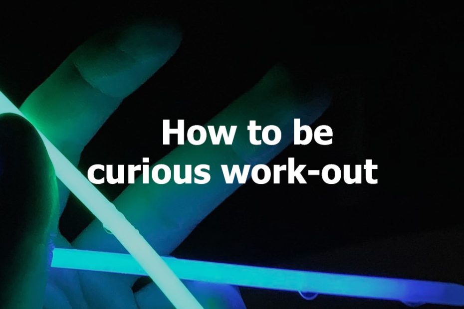 The Curiosity Experiment – Finding purpose one octopus at a time