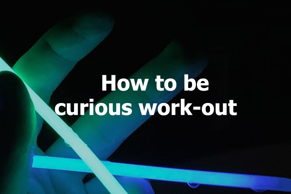 The Curiosity Experiment – Finding purpose one octopus at a time