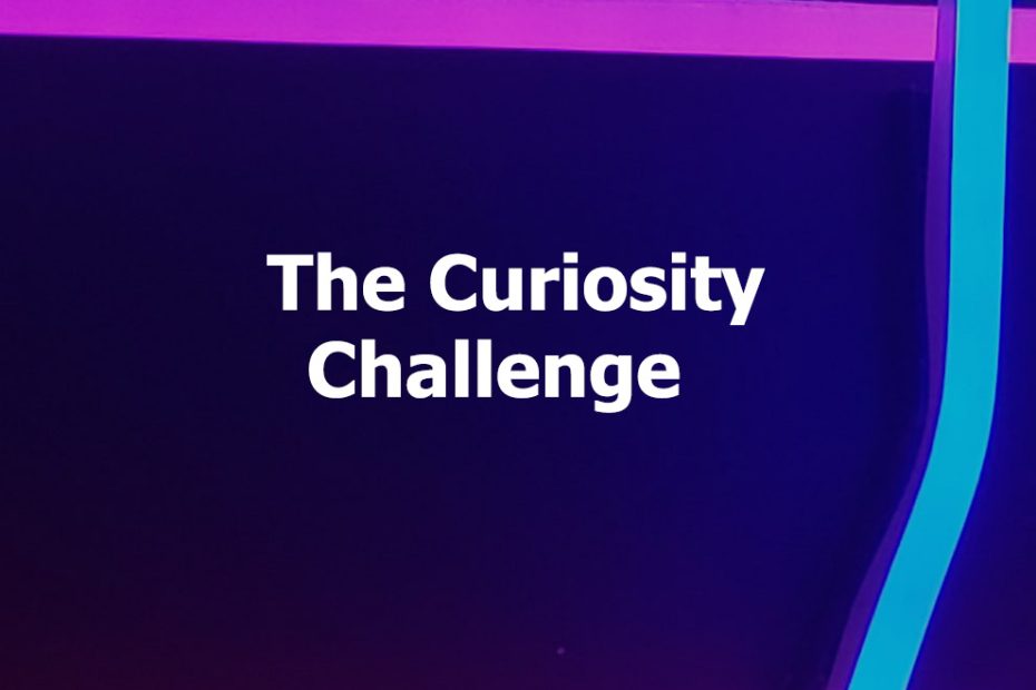 The Curiosity Experiment – Finding purpose one octopus at a time